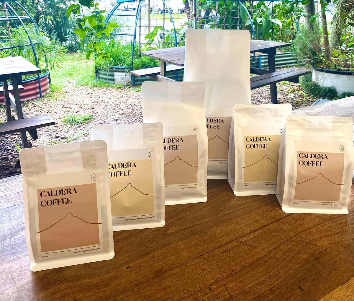 Caldera Coffee NOW in Cafes and In-Stores — Santos Organics